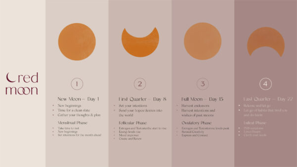 The Right Moves and Efficient Fuel to Keep You Going on Your Cycle ...